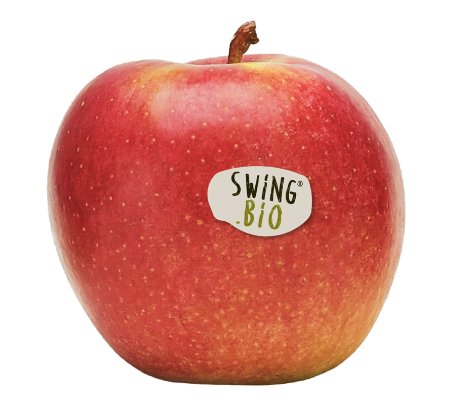 SWING.BIO – La pomme des origines